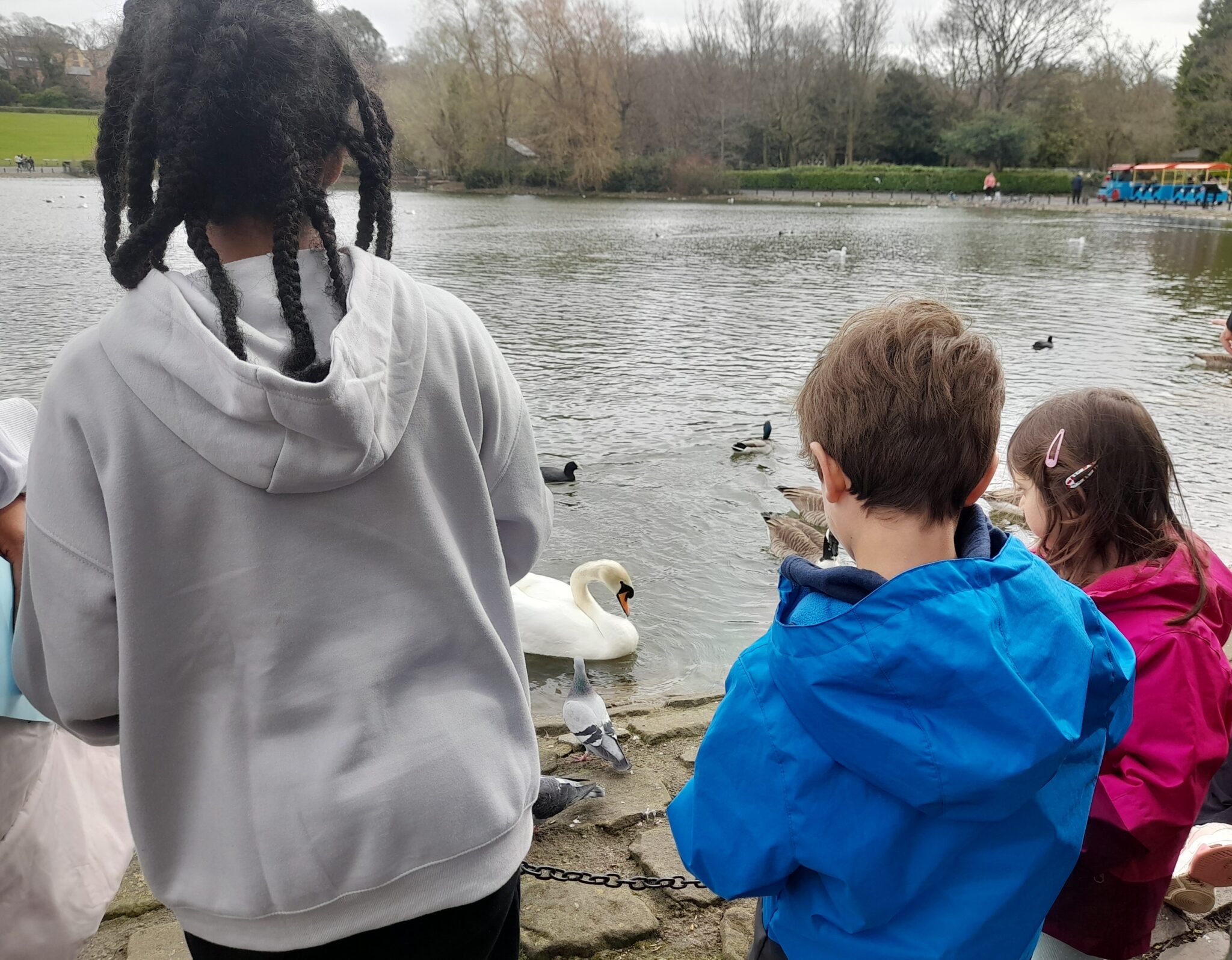Collaboration is the Key -public libraries as gateways to nature – DCMS ...